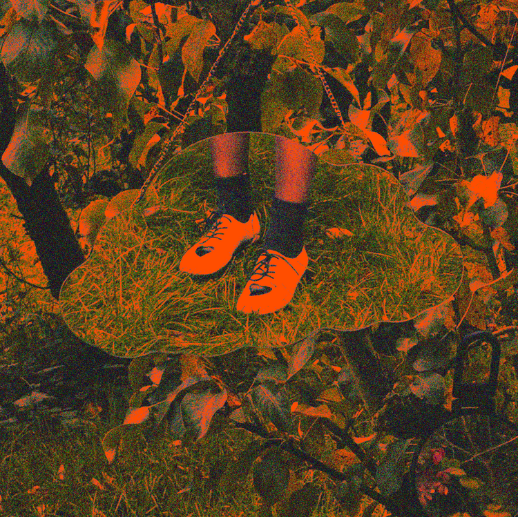 Inge Lamboo | Official Site